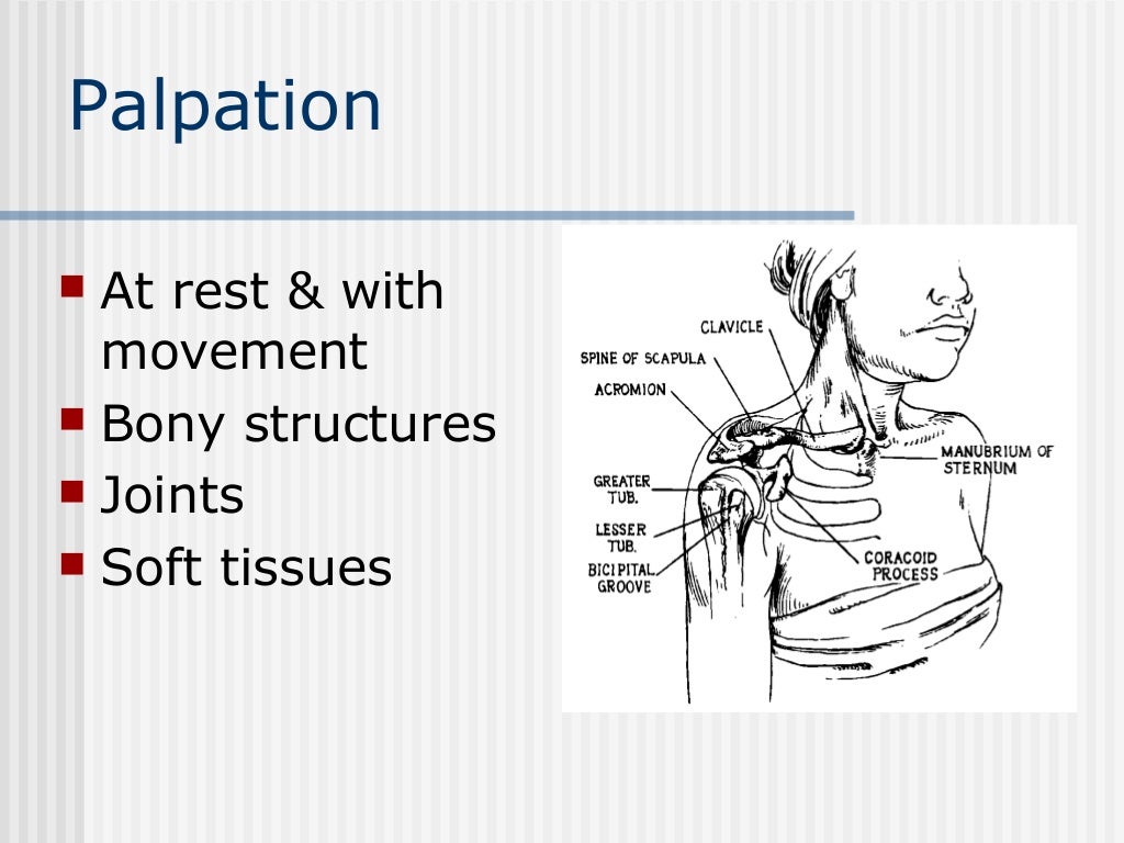 Examination of shoulder joint