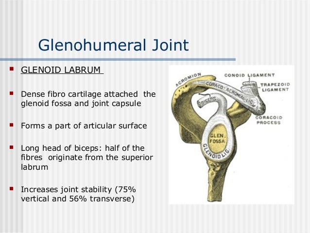 Examination of shoulder joint