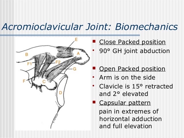 Examination of shoulder joint