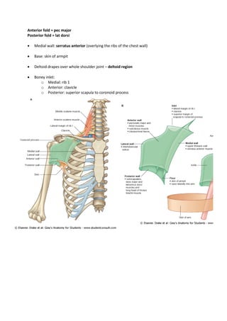 THE SHOULDER............................. | PDF
