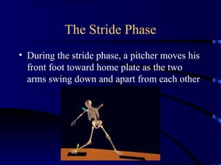 The shoulder BioMechanics of Pitching | PPT