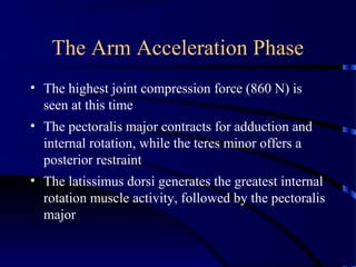 The shoulder BioMechanics of Pitching | PPT