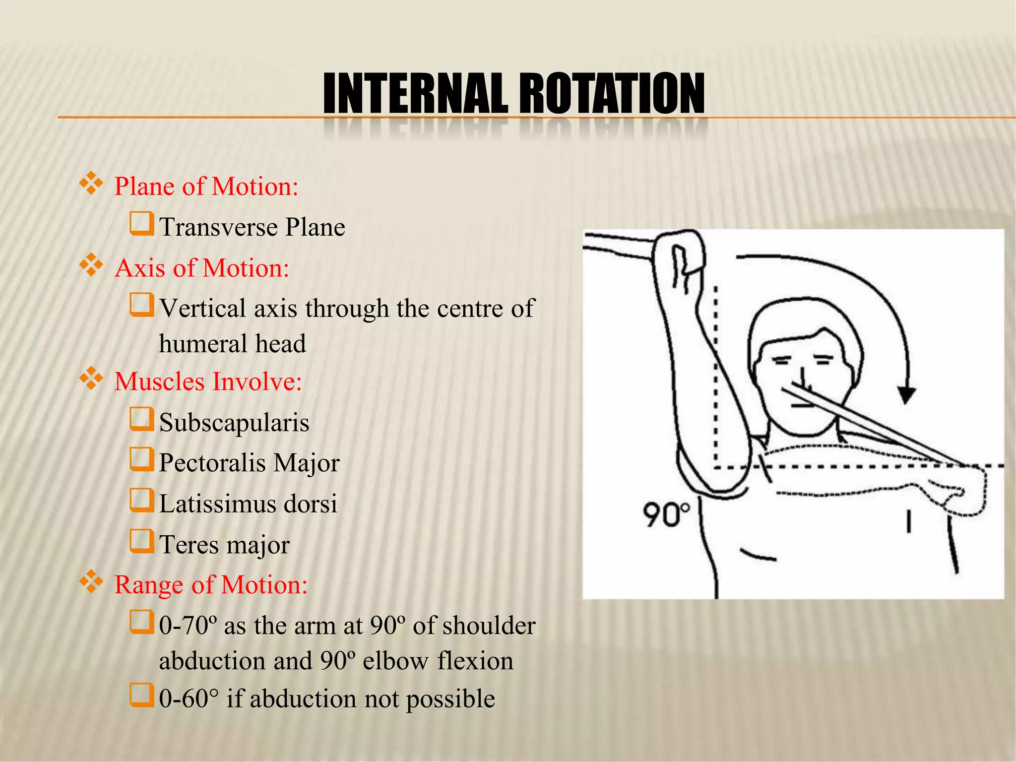 The Shoulder Anatomy.pptx