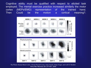 The Shoulder Dysfunction: A Tense Active model of motor control | PPT