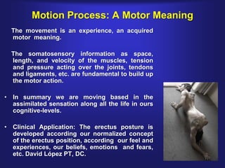 The Shoulder Dysfunction: A Tense Active model of motor control | PPT