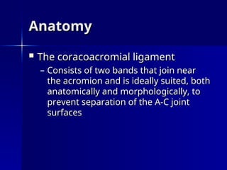_The_Shoulder_Complex.ppt, comprehensive anatomy of the shoulder join.t ...