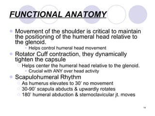 The shoulder complex sp2010 | PPT | Death, Injury, or Military Conflict ...