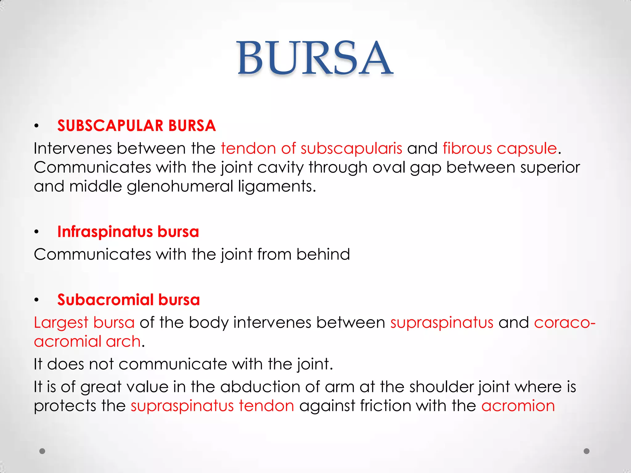 The shoulder joint | PPTX