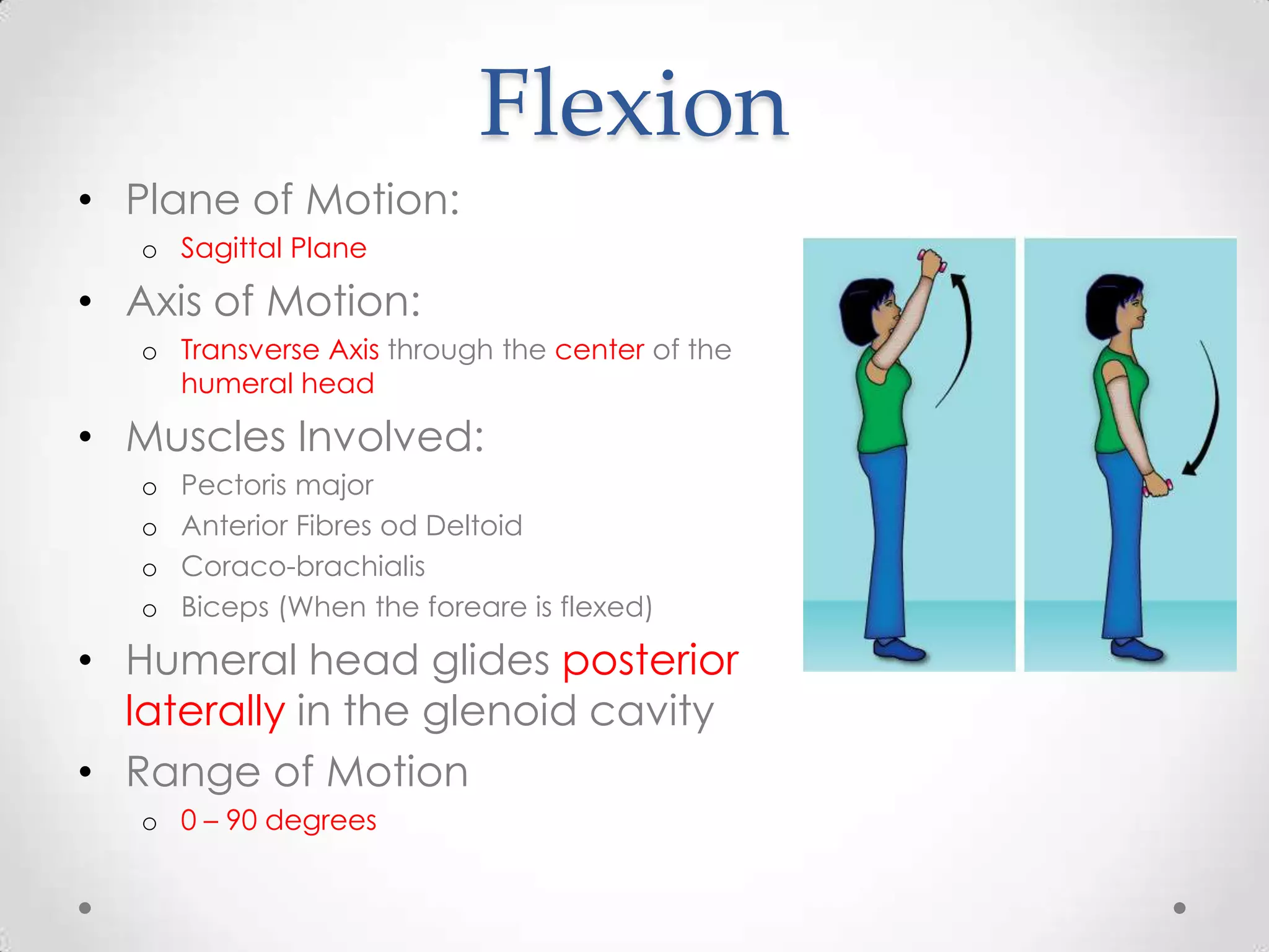 The shoulder joint | PPTX