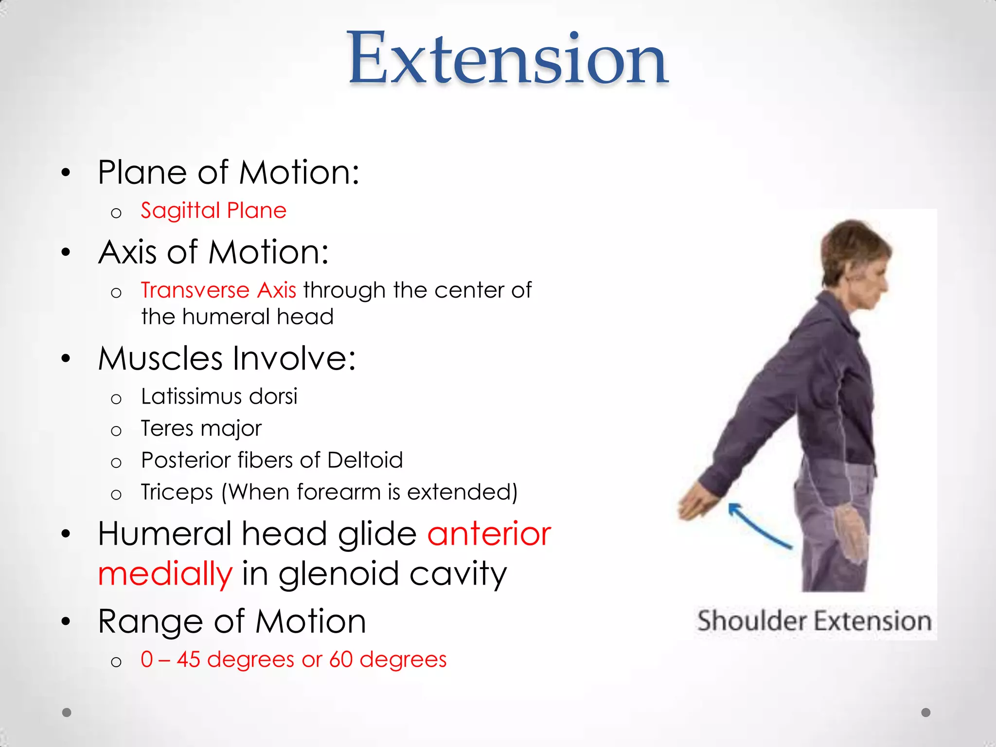The shoulder joint | PPTX