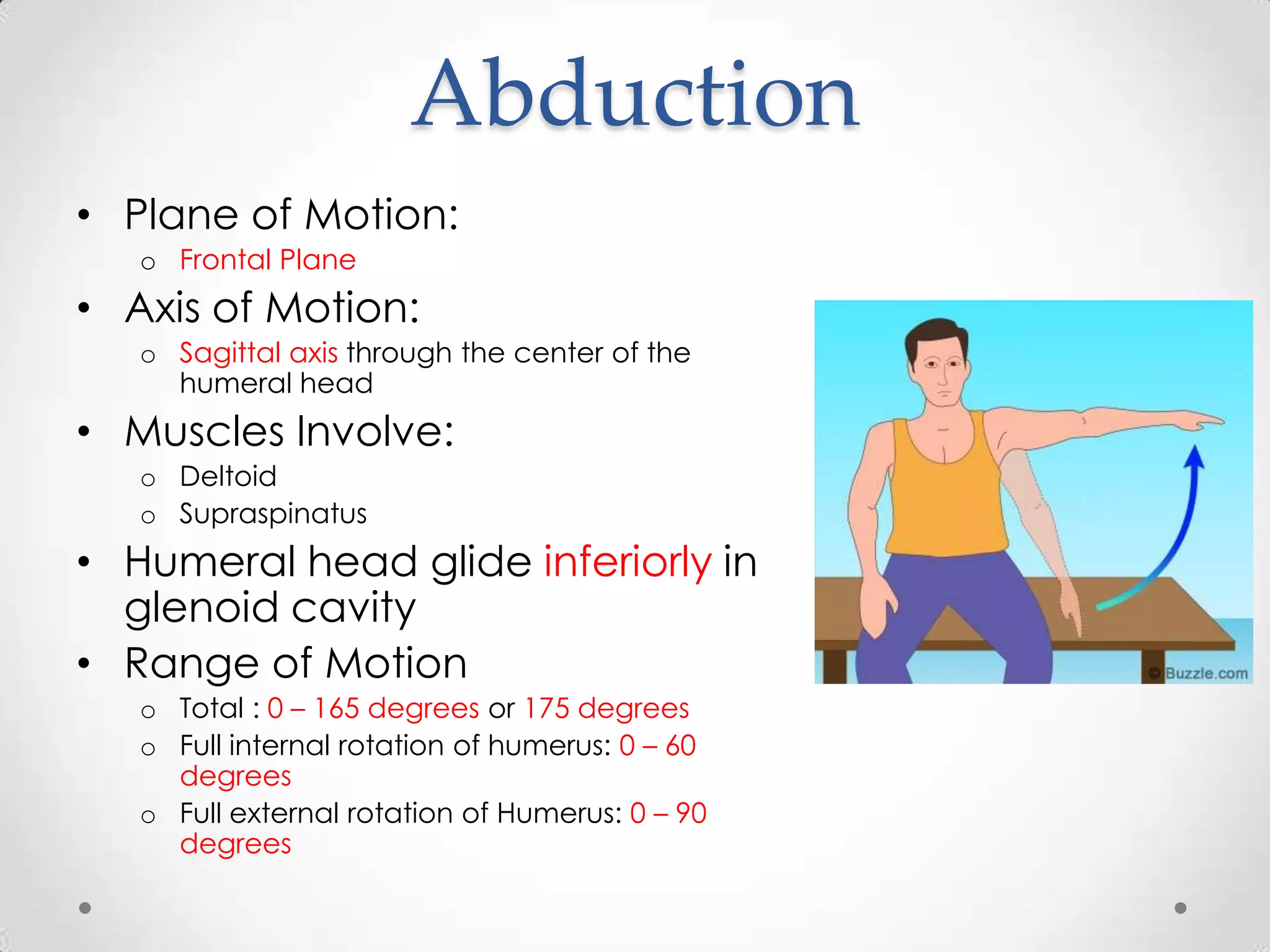 The shoulder joint | PPTX