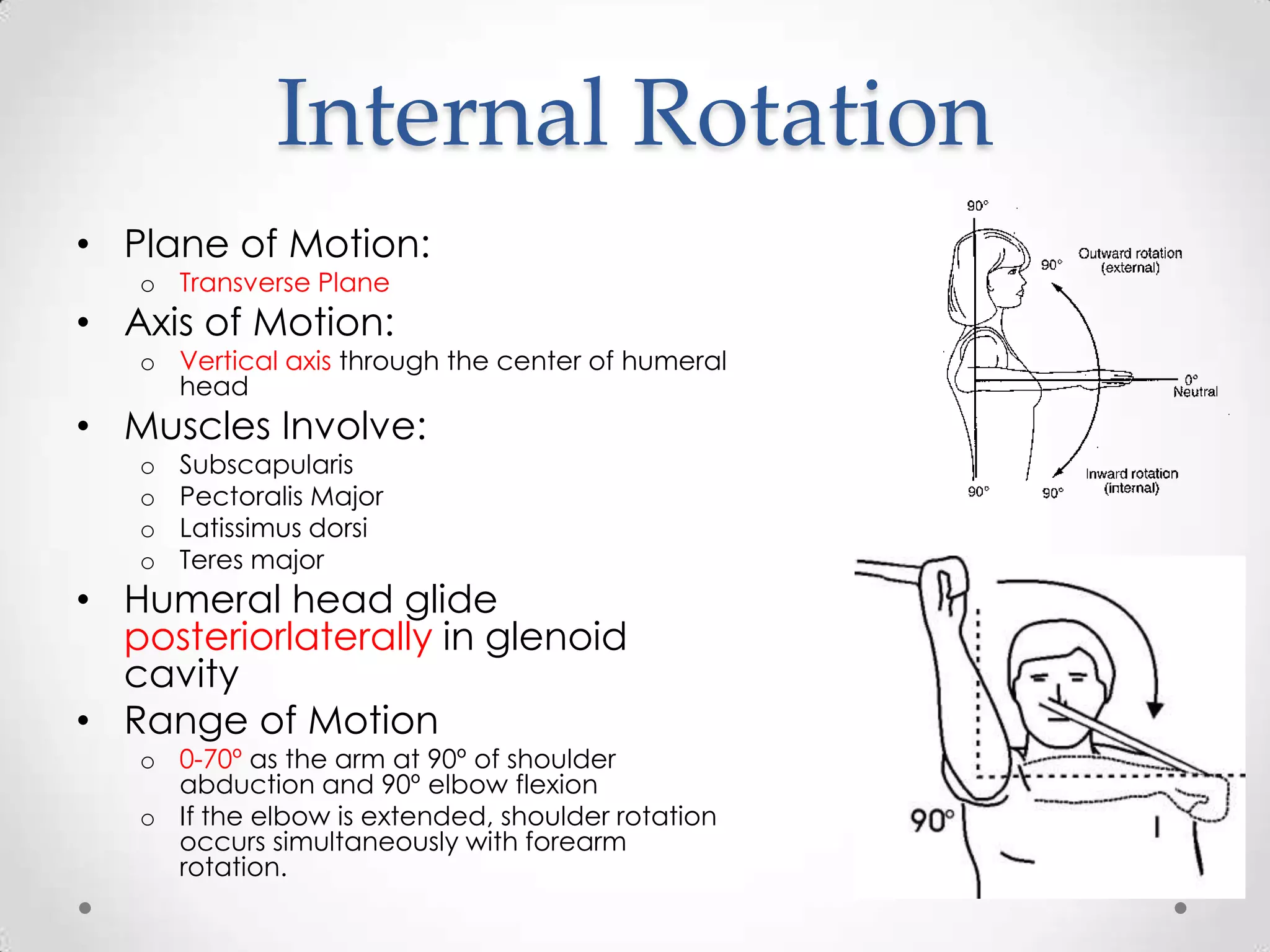 The shoulder joint | PPTX
