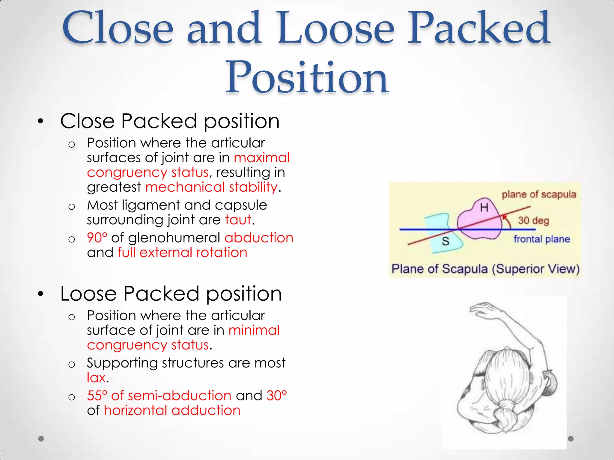 The shoulder joint | PPTX