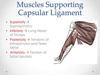 The shoulder joint | PPTX