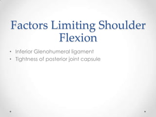 Shoulder Horizontal Flexion