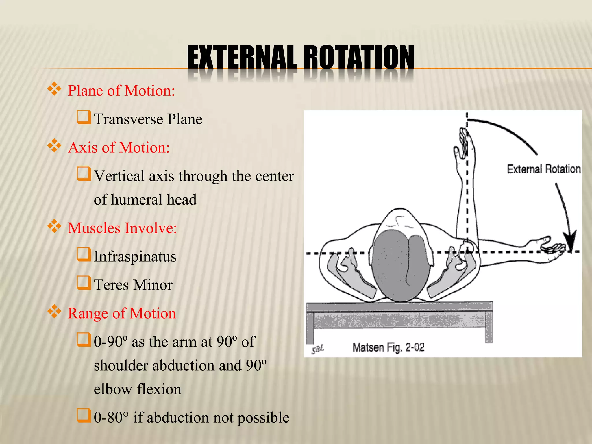 Anatomy of the shoulder joint | PPTX