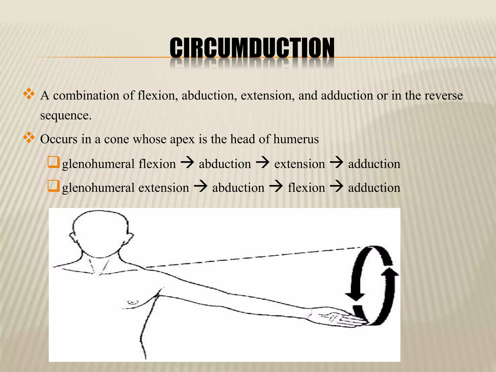 Anatomy of the shoulder joint | PPTX