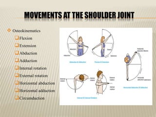 Anatomy of the shoulder joint | PPTX