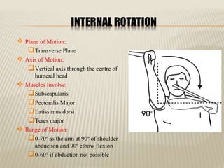 Anatomy of the shoulder joint | PPTX