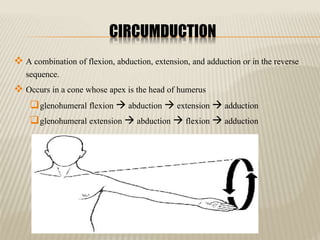 Anatomy of the shoulder joint | PPTX