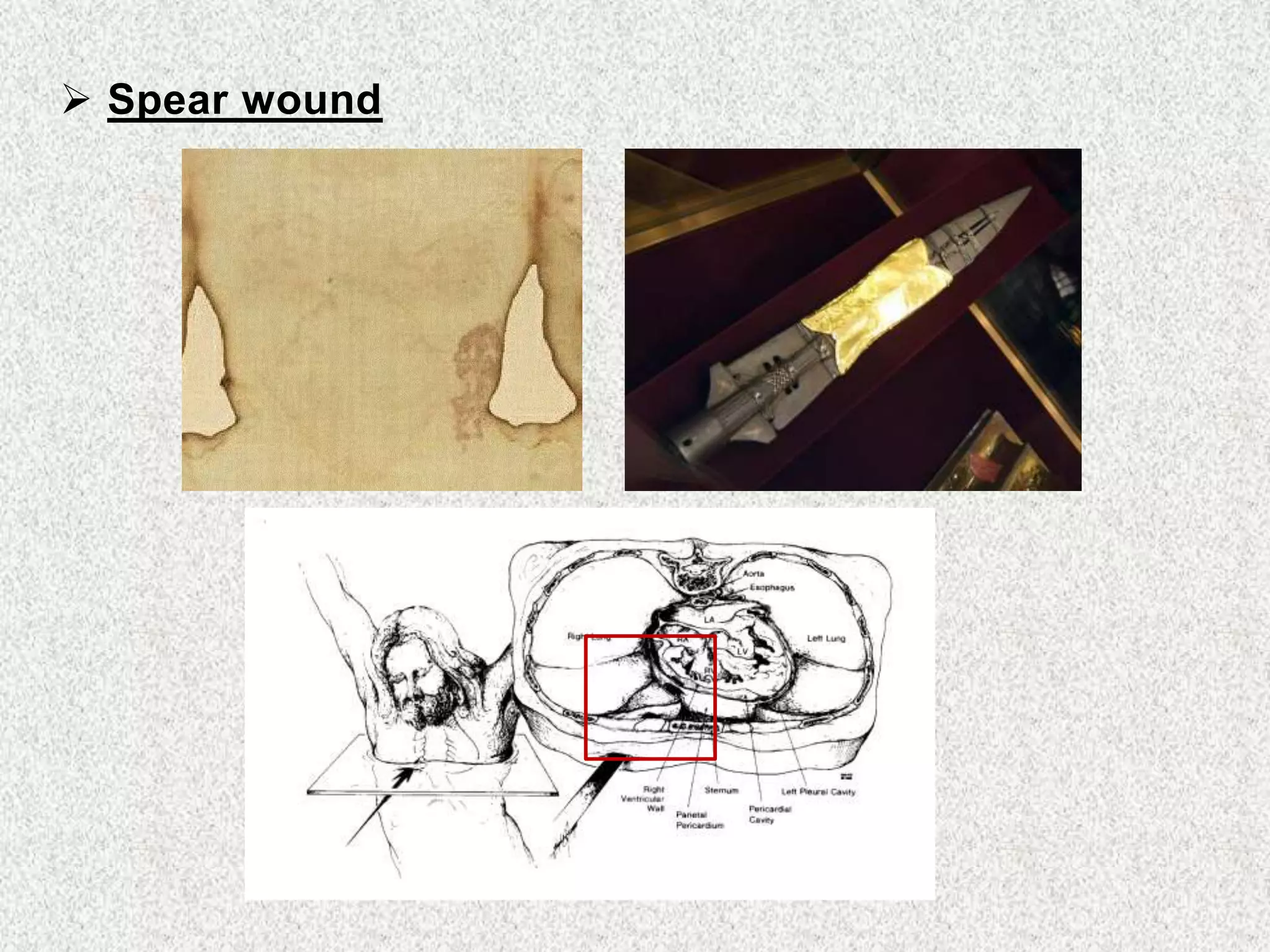 The Shroud of Turin | PPTX