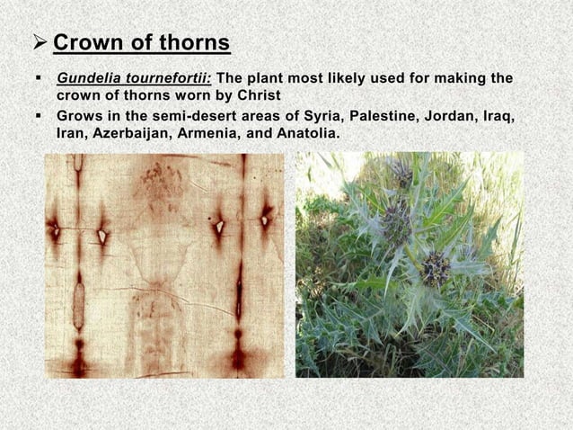 The Shroud of Turin | PPTX