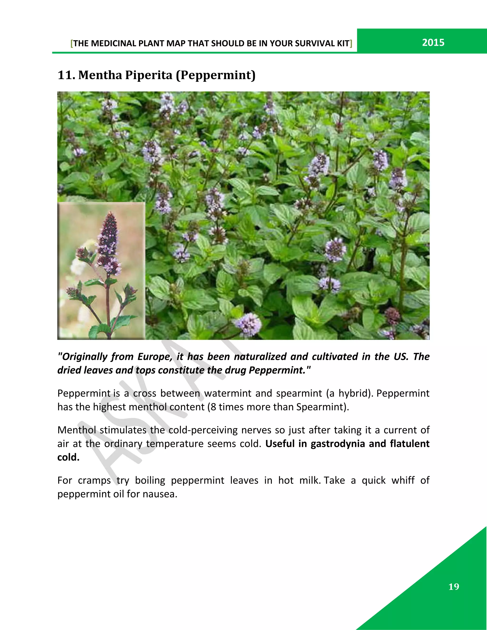 The shtf medicinal_plant_map_that_should_be_in_your_survival_kit | PDF