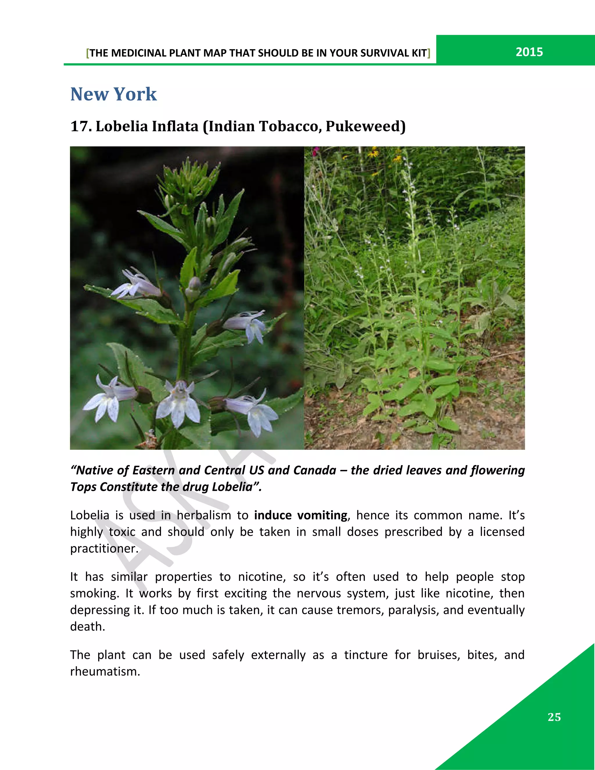 The shtf medicinal_plant_map_that_should_be_in_your_survival_kit | PDF