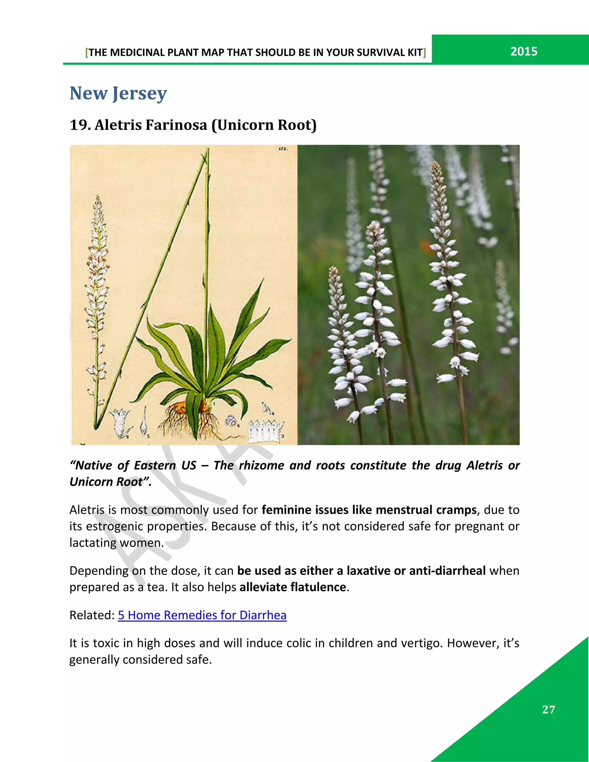 The shtf medicinal_plant_map_that_should_be_in_your_survival_kit | PDF