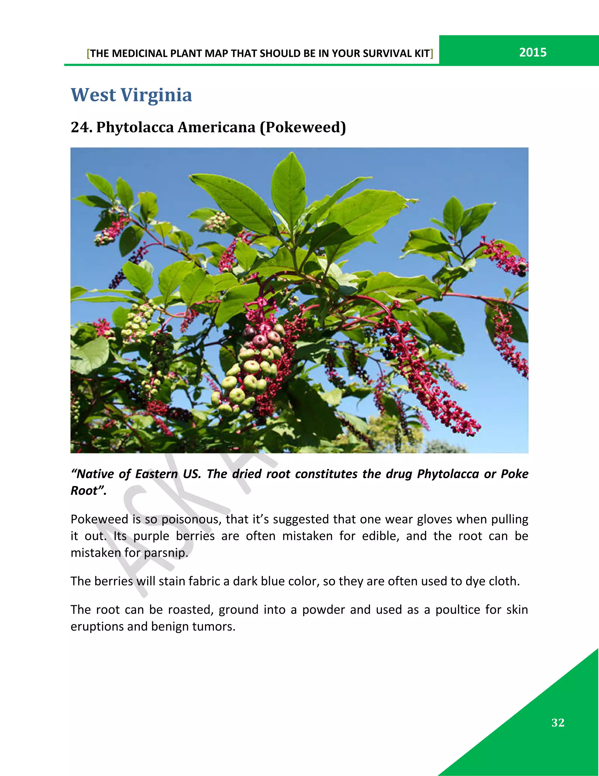 The shtf medicinal_plant_map_that_should_be_in_your_survival_kit | PDF