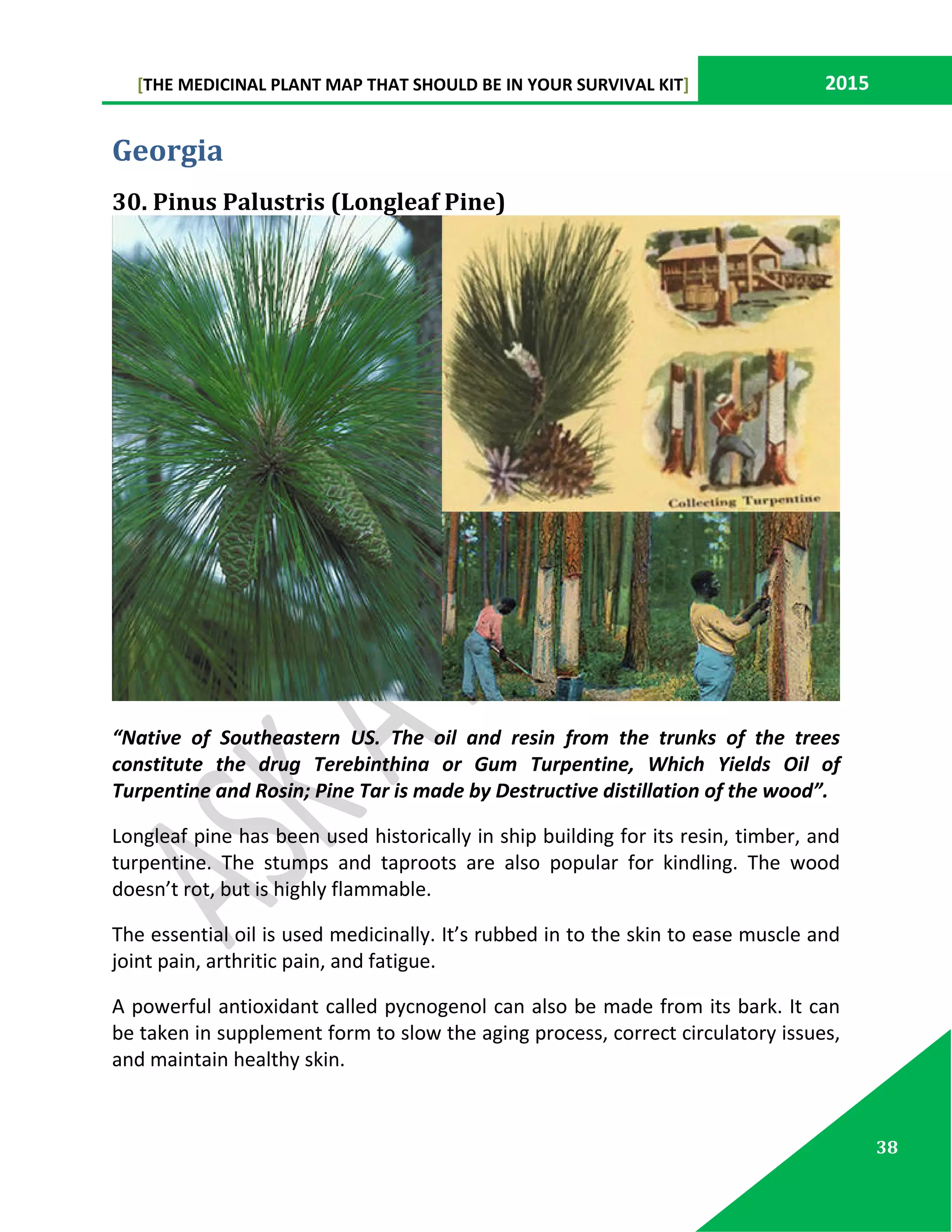 The shtf medicinal_plant_map_that_should_be_in_your_survival_kit | PDF