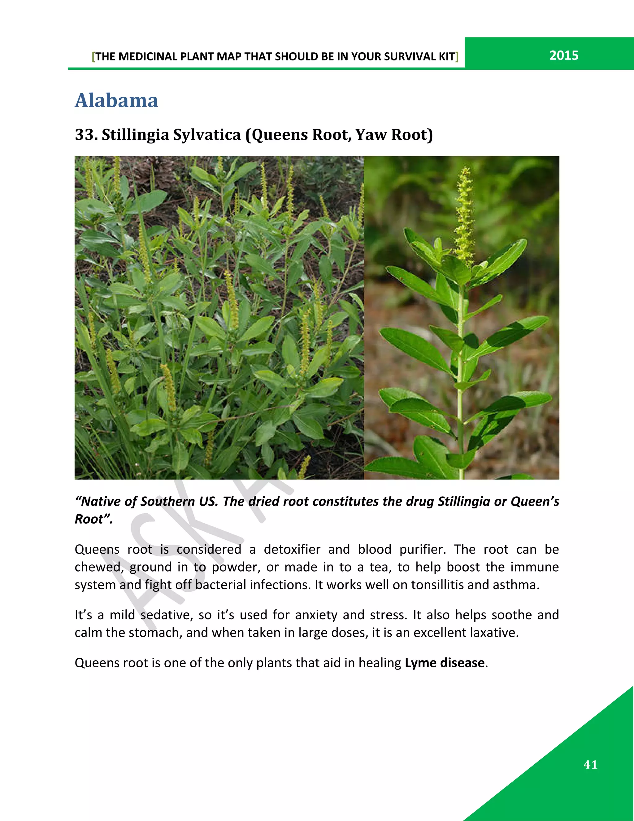 The shtf medicinal_plant_map_that_should_be_in_your_survival_kit | PDF