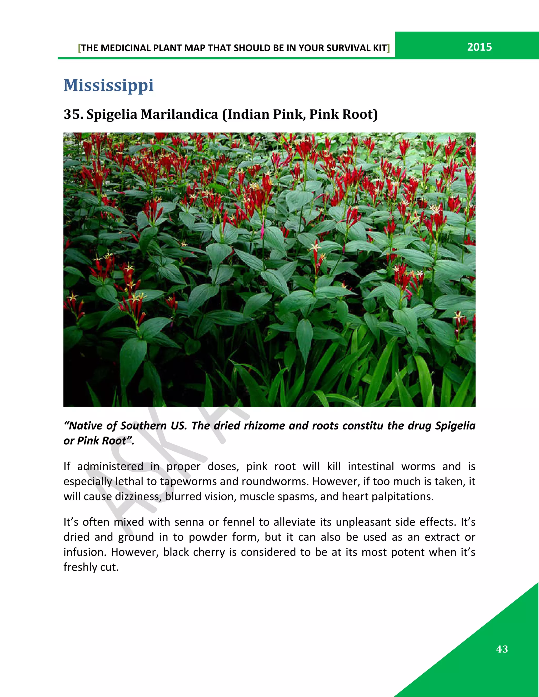 The shtf medicinal_plant_map_that_should_be_in_your_survival_kit | PDF