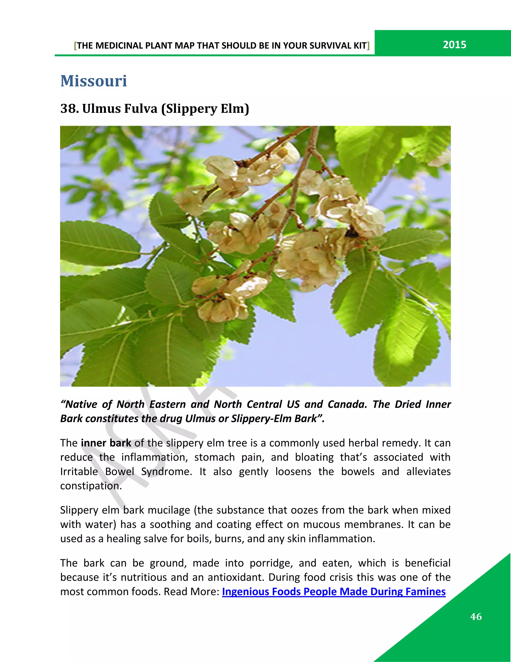 The shtf medicinal_plant_map_that_should_be_in_your_survival_kit | PDF