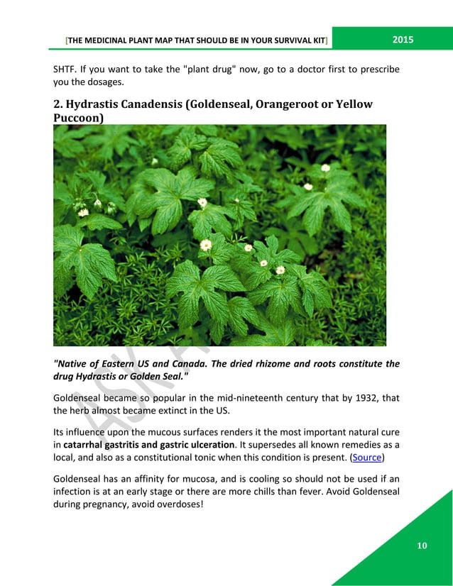 The shtf medicinal_plant_map_that_should_be_in_your_survival_kit | PDF