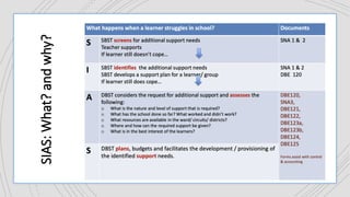 The SIAS process the importance of the individual support plan (ISP ...