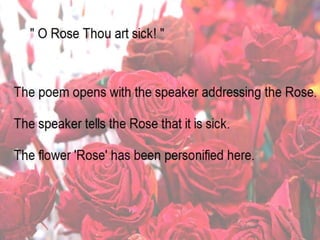 The sick rose | PPTX
