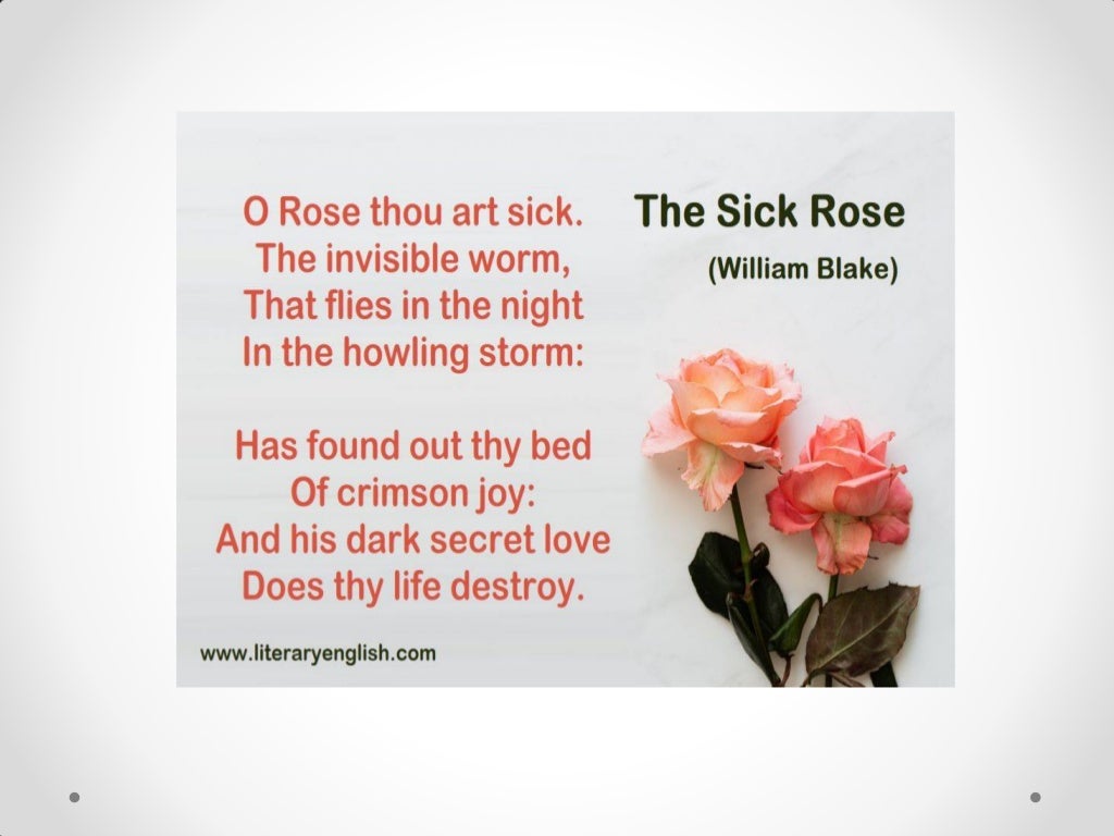 The Sick Rose.pdf