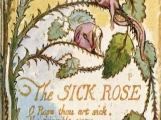 The sick rose by william blake | PPTX