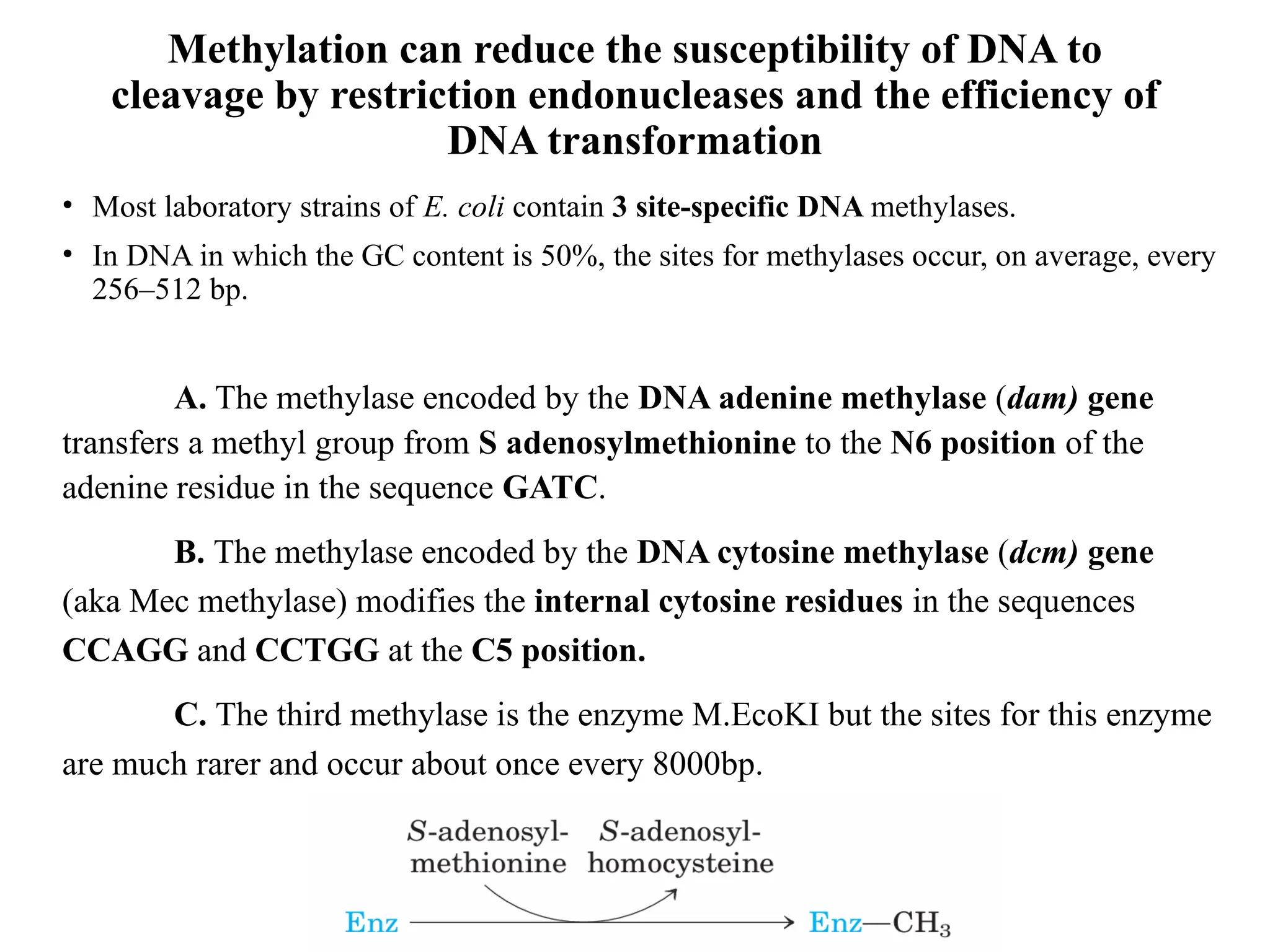 The significance of methylation in Genetic Engg.pptx