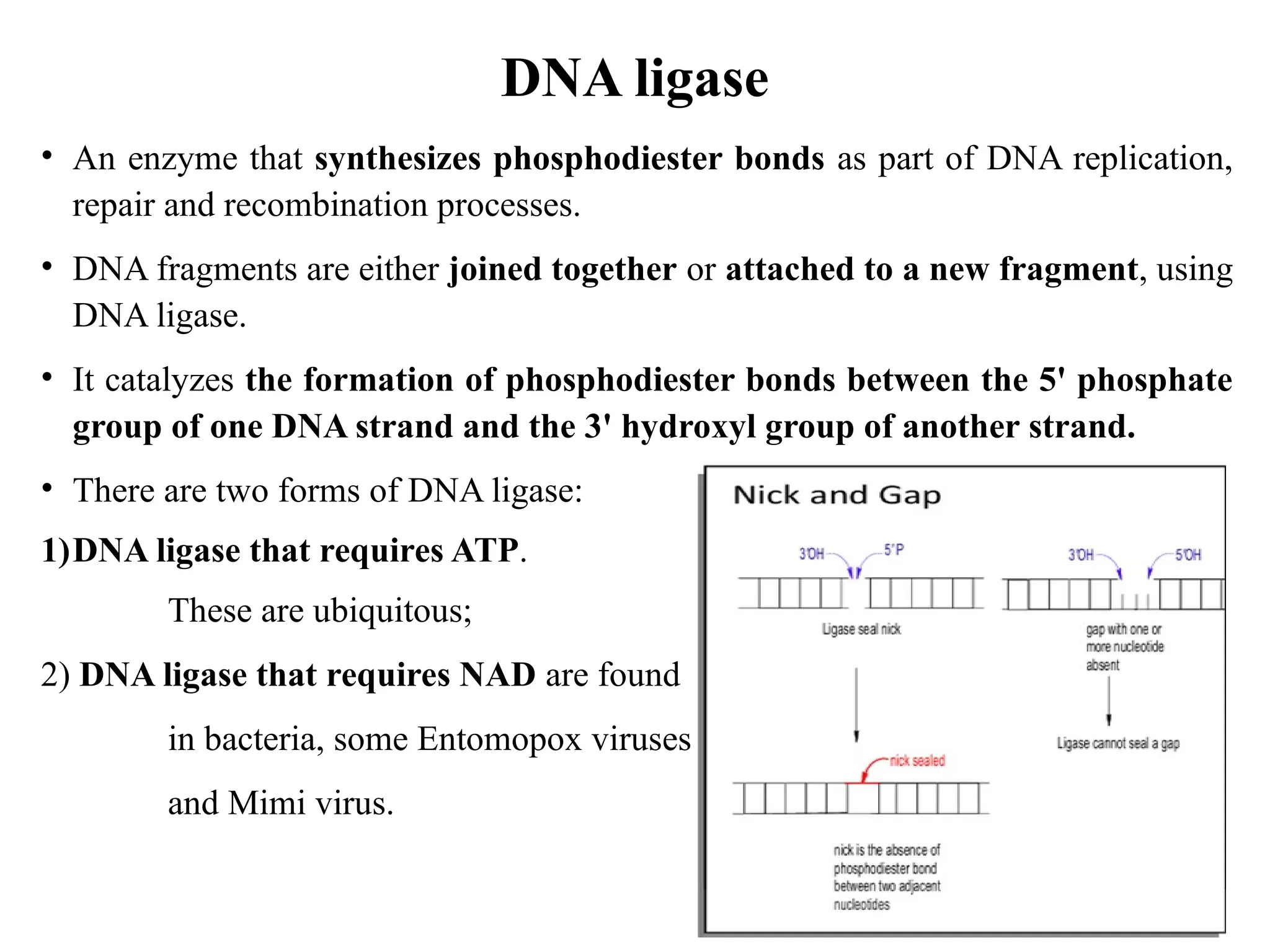 The significance of methylation in Genetic Engg.pptx