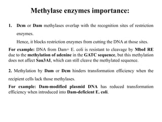 The significance of methylation in Genetic Engg.pptx