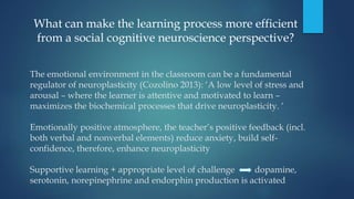 The Significance of Social Stimuli in Communication and the Learning ...