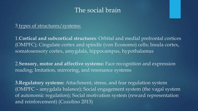 The Significance of Social Stimuli in Communication and the Learning ...