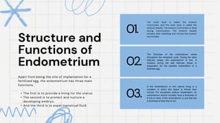 The Silent Symptom: What Causes Thin Endometrium and How Is It Treated ...