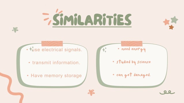 The similarities and differences of brain and computer(syifa).pptx