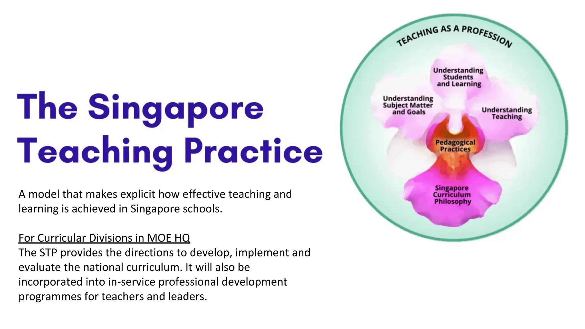 The Singapore Teaching Practice document | PDF