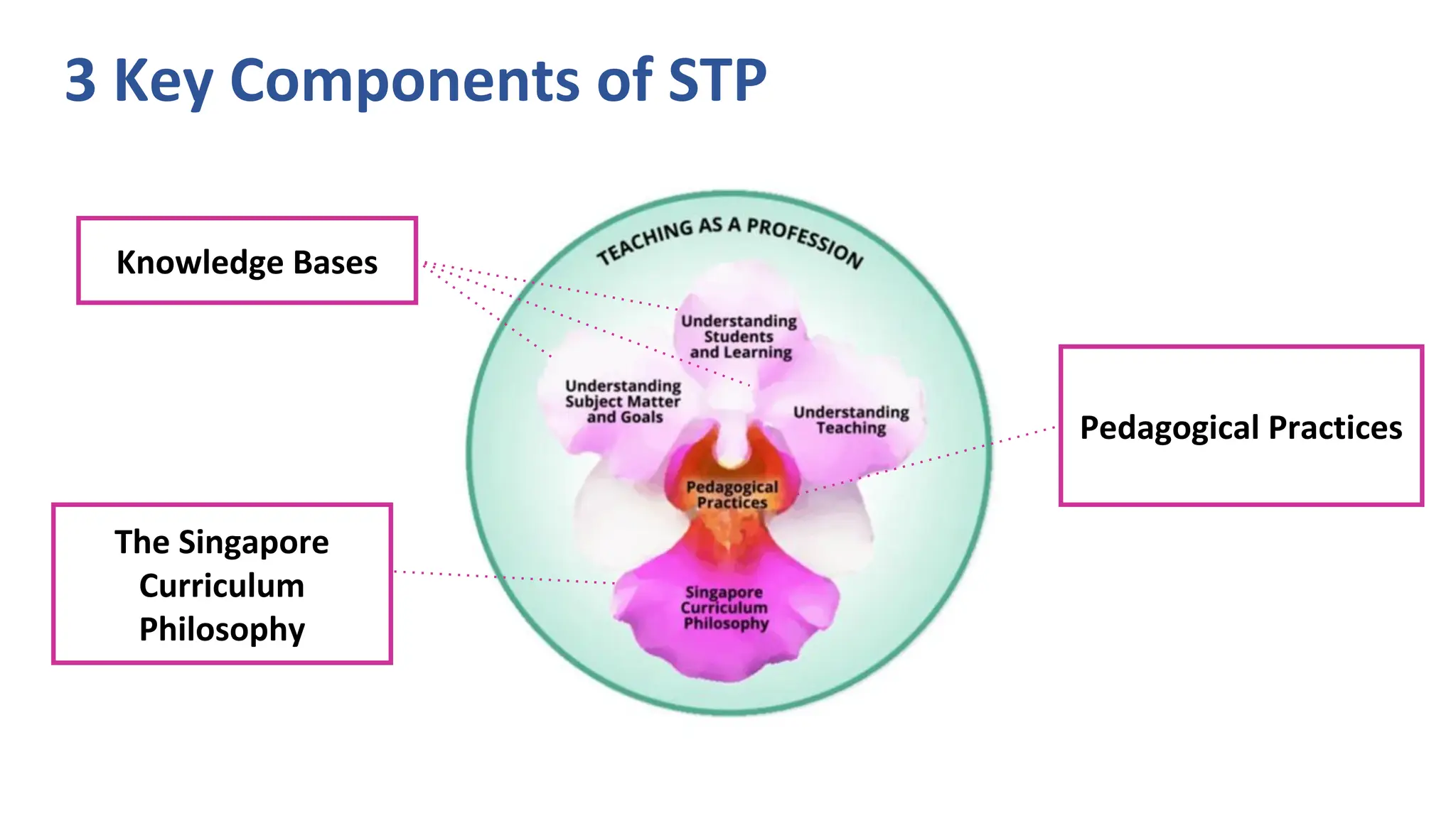The Singapore Teaching Practice document | PDF