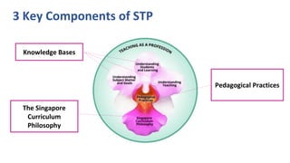 The Singapore Teaching Practice document | PDF