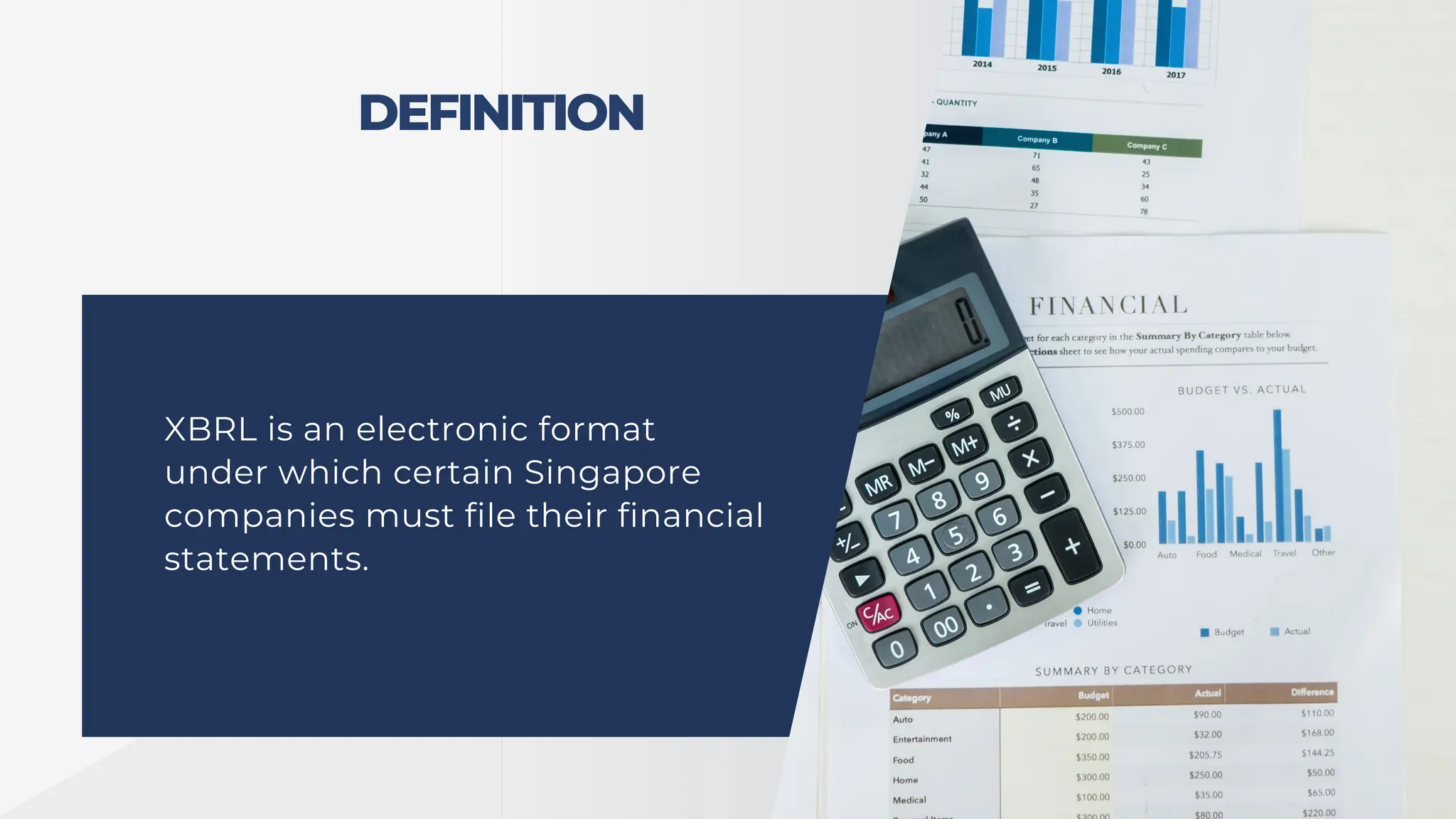 The Singapore XBRL Filing System | PDF
